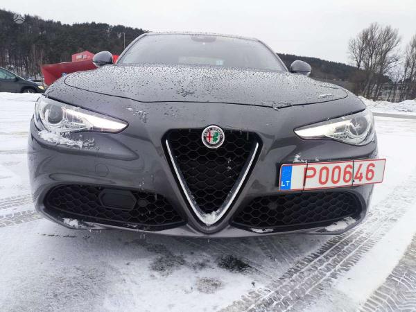 Grey Alfa Romeo Giulia 2019 in Vilnius, with an engine capacity of 2.14 L and mileage of 249 thousand km for 10527 €, photo 9 on AUTOMOTO.COM.LV