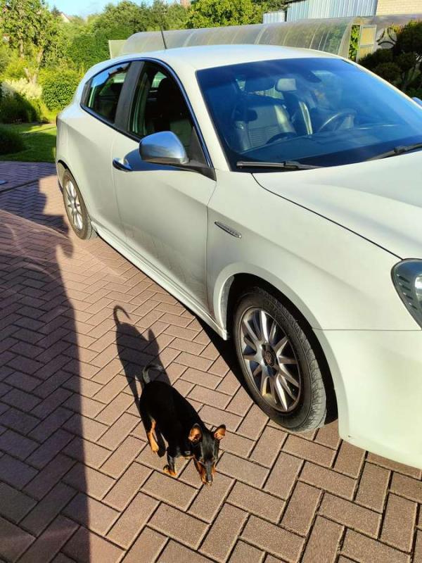 Balts Alfa Romeo Giulietta 2010 Šilalė, ar dzinēja tilpumu 1.60 L un nobraukumu 255 tūkst. km par 3900 €, foto 3 vietnē AUTOMOTO.COM.LV