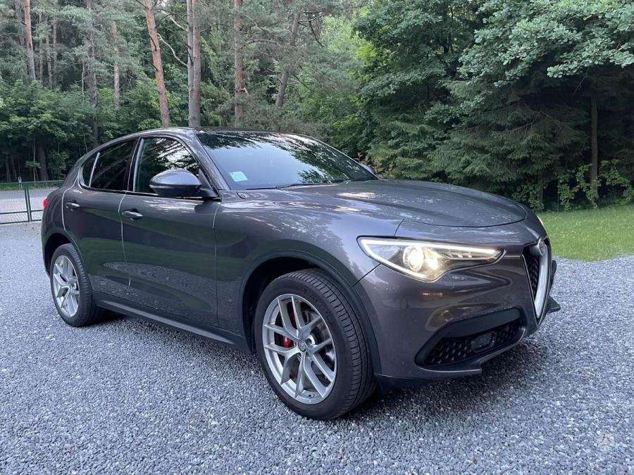 Grey Alfa Romeo Stelvio 2019 in Vilnius, with an engine capacity of 2.00 L and mileage of 200 thousand km for 16499 €, photo 7 on AUTOMOTO.COM.LV
