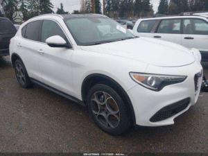 Balts Alfa Romeo Stelvio 2019 Klaipėda, ar dzinēja tilpumu 2.00 L un nobraukumu 59 tūkst. km par 6500 €, foto  vietnē AUTOMOTO.COM.LV