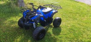 ATV 125cc 2023 Kelmė, ar dzinēja tilpumu 0.13 L un nobraukumu 0 tūkst. km par 415 €, foto 4 vietnē AUTOMOTO.COM.LV