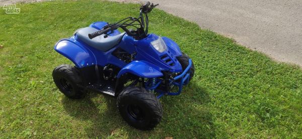 ATV 125cc 2023 in Kelme, with an engine capacity of 0.13 L and mileage of 0 thousand km for 335 €, photo 1 on AUTOMOTO.COM.LV