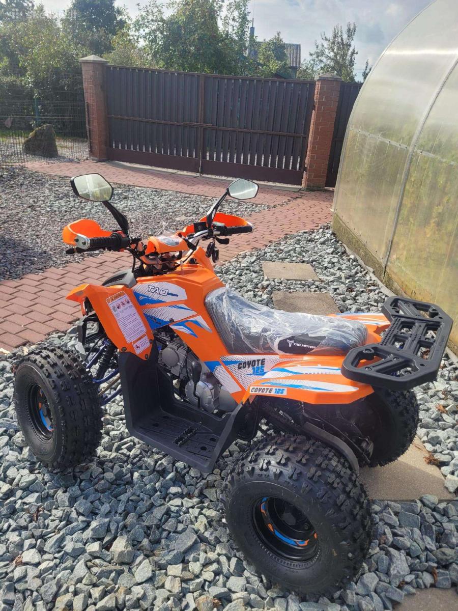 Оранжевый АТВ 125cc 2026 в Клайпеда, объемом двигателя 0.13 л и пробегом 0 тыс. км за 750 €, фото 10 на AUTOMOTO.COM.LV