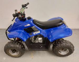 Zils ATV 250cc 2020 Kauņa, ar dzinēja tilpumu 0.13 L un nobraukumu 1 tūkst. km par 399 €, foto 4 vietnē AUTOMOTO.COM.LV