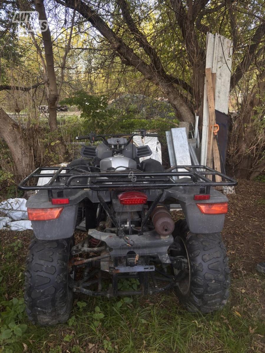 Pelēks ATV 250cc 2002 Viļņa, ar dzinēja tilpumu 0.26 L un nobraukumu 0 tūkst. km par 800 €, foto 3 vietnē AUTOMOTO.COM.LV