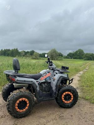Grey ATV 250cc 2025 in Utena, with an engine capacity of 0.30 L and mileage of 1 thousand km for 2000 €, photo 6 on AUTOMOTO.COM.LV