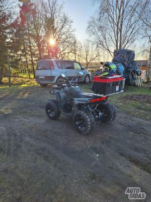 ATV 250cc 2025 Šilutė, ar dzinēja tilpumu 0.00 L un nobraukumu 0 tūkst. km par 2000 €, foto 17 vietnē AUTOMOTO.COM.LV