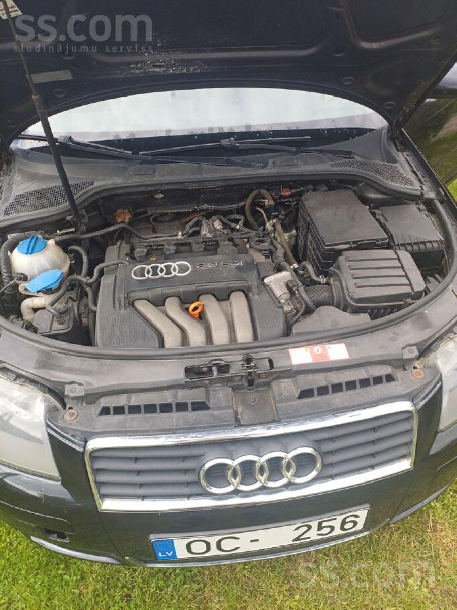 Melns Audi A3 2004 Ogre, ar dzinēja tilpumu 2.00 L un nobraukumu 298 tūkst. km par 1900 €, foto 6 vietnē AUTOMOTO.COM.LV
