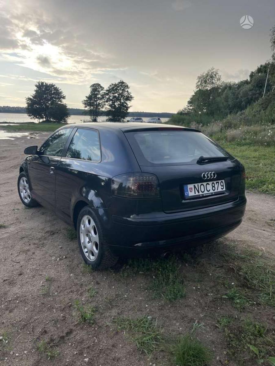 Melns Audi A3 2005 Klaipėda, ar dzinēja tilpumu 1.60 L un nobraukumu 196 tūkst. km par 1400 €, foto 5 vietnē AUTOMOTO.COM.LV