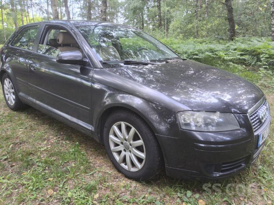 Melns Audi A3 2007 Rīga, ar dzinēja tilpumu 1.90 L un nobraukumu 353 tūkst. km par 2000 €, foto 5 vietnē AUTOMOTO.COM.LV
