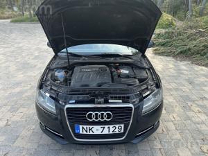 Melns Audi A3 2011 Jūrmala, ar dzinēja tilpumu 1.60 L un nobraukumu 271 tūkst. km par 4900 €, foto 17 vietnē AUTOMOTO.COM.LV