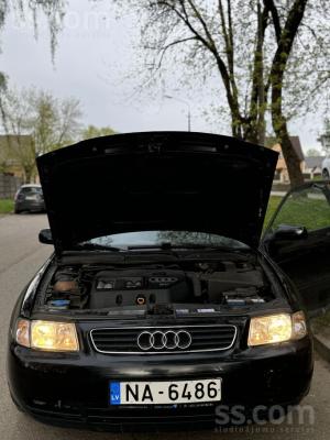 Melns Audi A3 1998 Daugavpils, ar dzinēja tilpumu 1.80 L un nobraukumu 250 tūkst. km par 1150 €, foto 5 vietnē AUTOMOTO.COM.LV