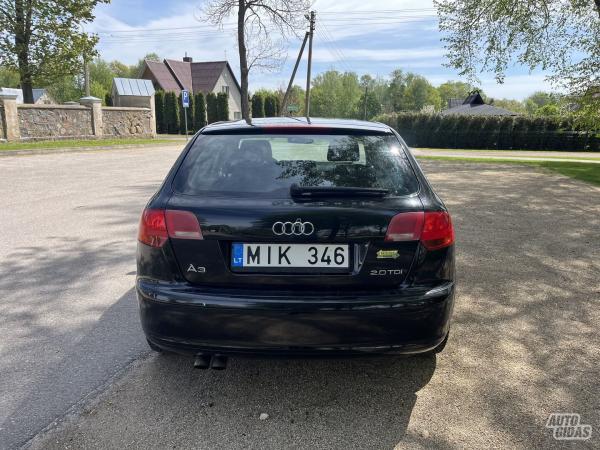 Melns Audi A3 2005 Vilkaviškis, ar dzinēja tilpumu 2.00 L un nobraukumu 309 tūkst. km par 1500 €, foto 6 vietnē AUTOMOTO.COM.LV