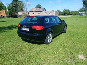 Melns Audi A3 2005 Jēkabpils, ar dzinēja tilpumu 1.60 L un nobraukumu 241 tūkst. km par 1800 €, foto 5 vietnē AUTOMOTO.COM.LV