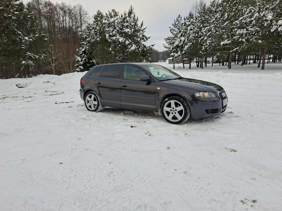Melns Audi A3 2006 Šalčininkai, ar dzinēja tilpumu 1.90 L un nobraukumu 291 tūkst. km par 2500 €, foto 1 vietnē AUTOMOTO.COM.LV