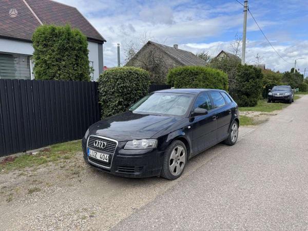 Melns Audi A3 2007 Viļņa, ar dzinēja tilpumu 1.97 L un nobraukumu 321 tūkst. km par 2800 €, foto 5 vietnē AUTOMOTO.COM.LV
