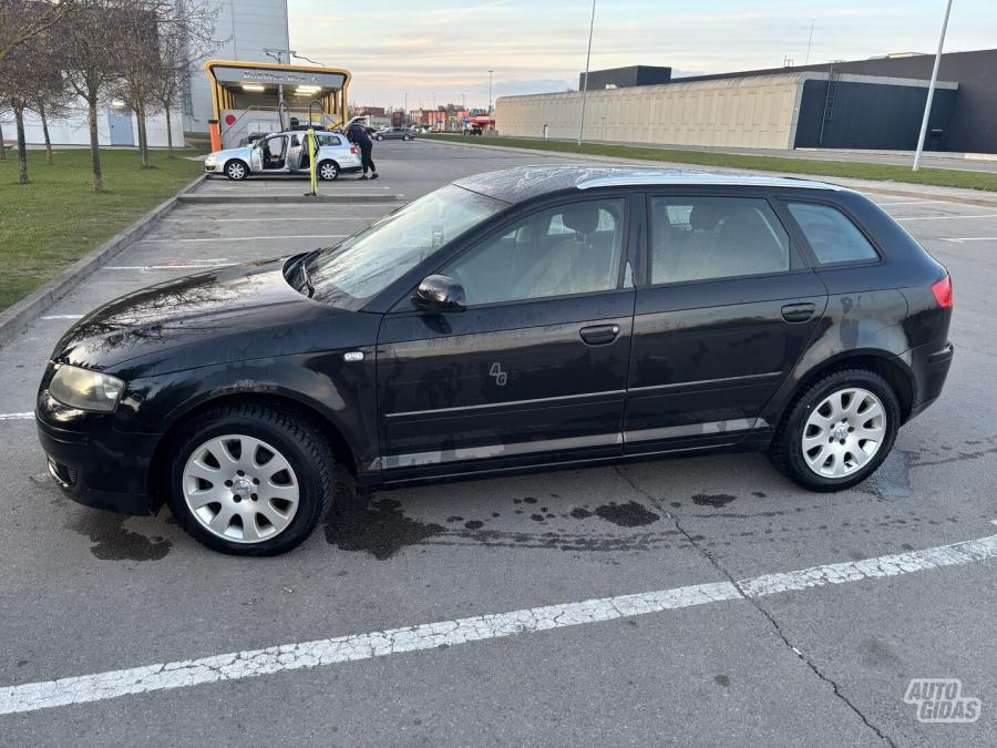 Black Audi A3 2007 in Panevezys, with an engine capacity of 1.90 L and mileage of 312 thousand km for 2500 €, photo 1 on AUTOMOTO.COM.LV