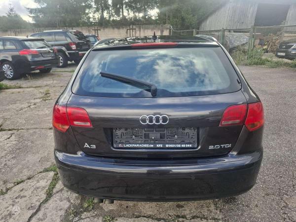 Ауди А3 2008 в Утена на AUTOMOTO.COM.LV Черный Ауди А3 2008 в Утена, объемом двигателя 1.97 л и пробегом 240 тыс. км за 2800 €, фото 11 на AUTOMOTO.COM.LV