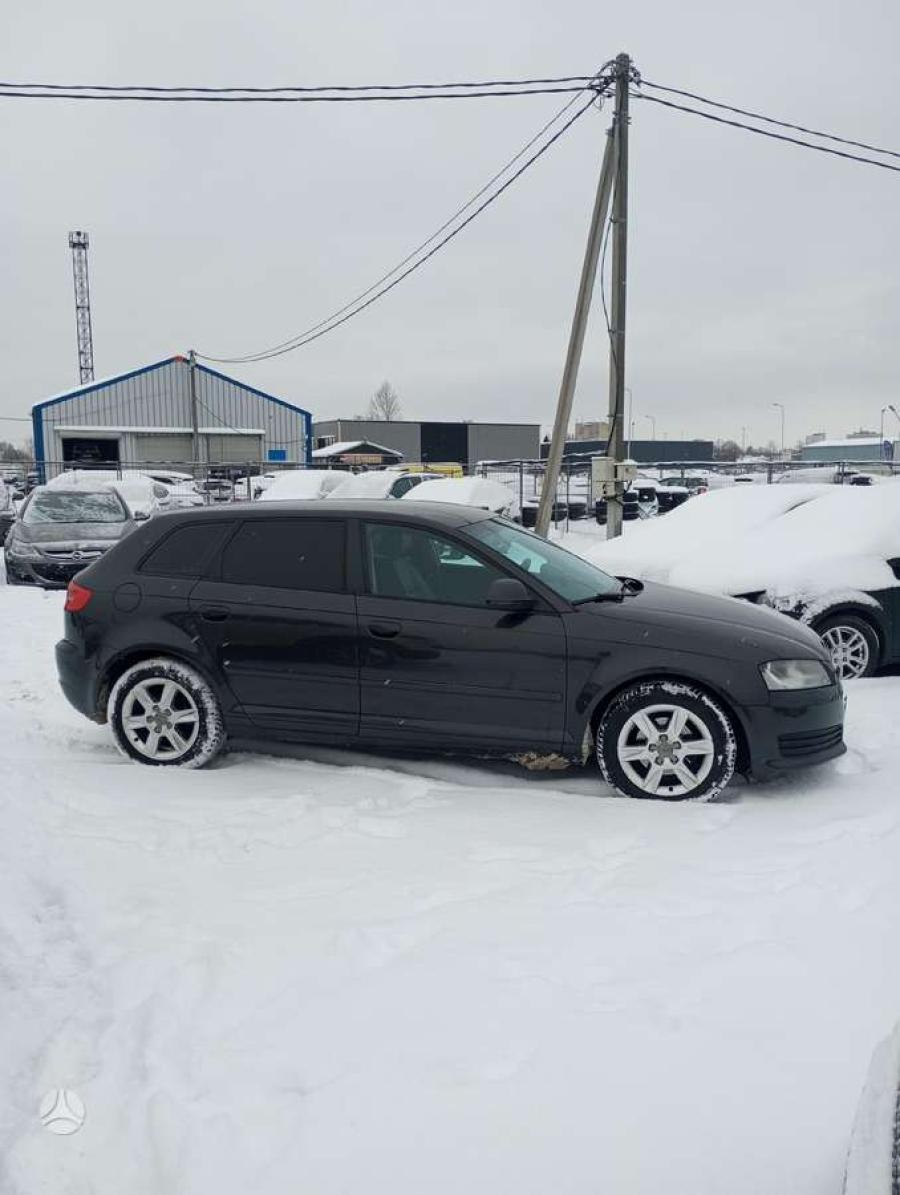 Melns Audi A3 2010 Kauņa, ar dzinēja tilpumu 1.60 L un nobraukumu 290 tūkst. km par 3900 €, foto 5 vietnē AUTOMOTO.COM.LV