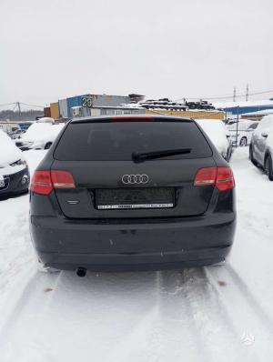 Melns Audi A3 2010 Kauņa, ar dzinēja tilpumu 1.60 L un nobraukumu 290 tūkst. km par 3900 €, foto 8 vietnē AUTOMOTO.COM.LV