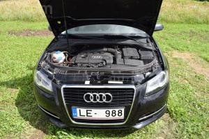 Melns Audi A3 2010 Ogre, ar dzinēja tilpumu 1.80 L un nobraukumu 199 tūkst. km par 5300 €, foto 17 vietnē AUTOMOTO.COM.LV
