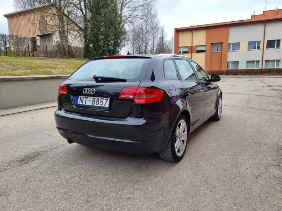 Melns Audi A3 2010 Jēkabpils, ar dzinēja tilpumu 1.60 L un nobraukumu 237 tūkst. km par 5950 €, foto 9 vietnē AUTOMOTO.COM.LV