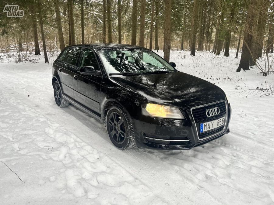 Melns Audi A3 2011 Šauļi, ar dzinēja tilpumu 1.60 L un nobraukumu 269 tūkst. km par 3600 €, foto 8 vietnē AUTOMOTO.COM.LV