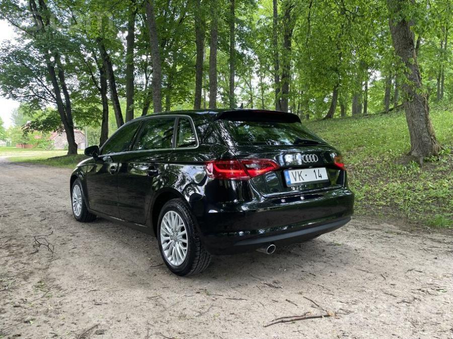 Melns Audi A3 2013 Ogre, ar dzinēja tilpumu 1.60 L un nobraukumu 275 tūkst. km par 6990 €, foto 7 vietnē AUTOMOTO.COM.LV