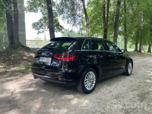 Melns Audi A3 2013 Ogre, ar dzinēja tilpumu 1.60 L un nobraukumu 275 tūkst. km par 6990 €, foto 9 vietnē AUTOMOTO.COM.LV