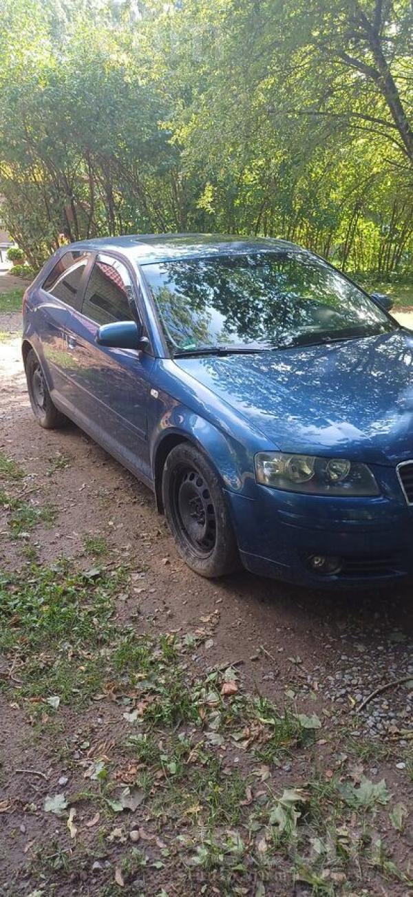 Zils Audi A3 2003 Cēsis, ar dzinēja tilpumu 1.60 L un nobraukumu 289 tūkst. km par 1800 €, foto 3 vietnē AUTOMOTO.COM.LV