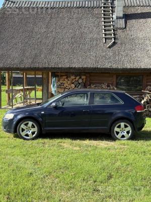 Zils Audi A3 2003 Jelgava, ar dzinēja tilpumu 2.00 L un nobraukumu 420 tūkst. km par 799 €, foto 8 vietnē AUTOMOTO.COM.LV