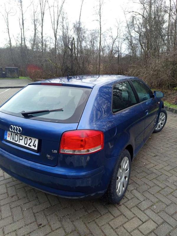 Zils Audi A3 2006 Viļņa, ar dzinēja tilpumu 1.60 L un nobraukumu 224 tūkst. km par 2200 €, foto 5 vietnē AUTOMOTO.COM.LV