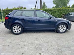 Zils Audi A3 2006 Viļņa, ar dzinēja tilpumu 1.89 L un nobraukumu 393 tūkst. km par 2000 €, foto 8 vietnē AUTOMOTO.COM.LV