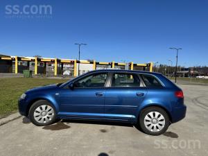 Zils Audi A3 2008 Liepāja, ar dzinēja tilpumu 1.60 L un nobraukumu 46 tūkst. km par 6900 €, foto 12 vietnē AUTOMOTO.COM.LV