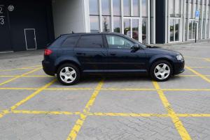 Blue Audi A3 2009 in Vilnius, with an engine capacity of 1.97 L and mileage of 290 thousand km for 4900 €, photo 5 on AUTOMOTO.COM.LV