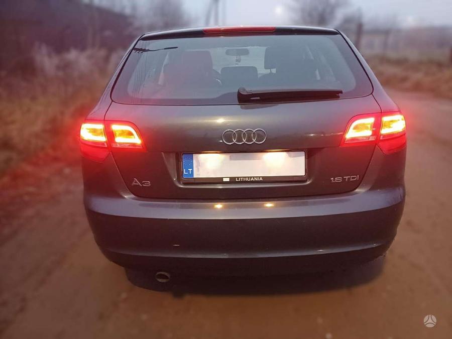 Zils Audi A3 2010 Viļņa, ar dzinēja tilpumu 1.60 L un nobraukumu 278 tūkst. km par 4400 €, foto 3 vietnē AUTOMOTO.COM.LV