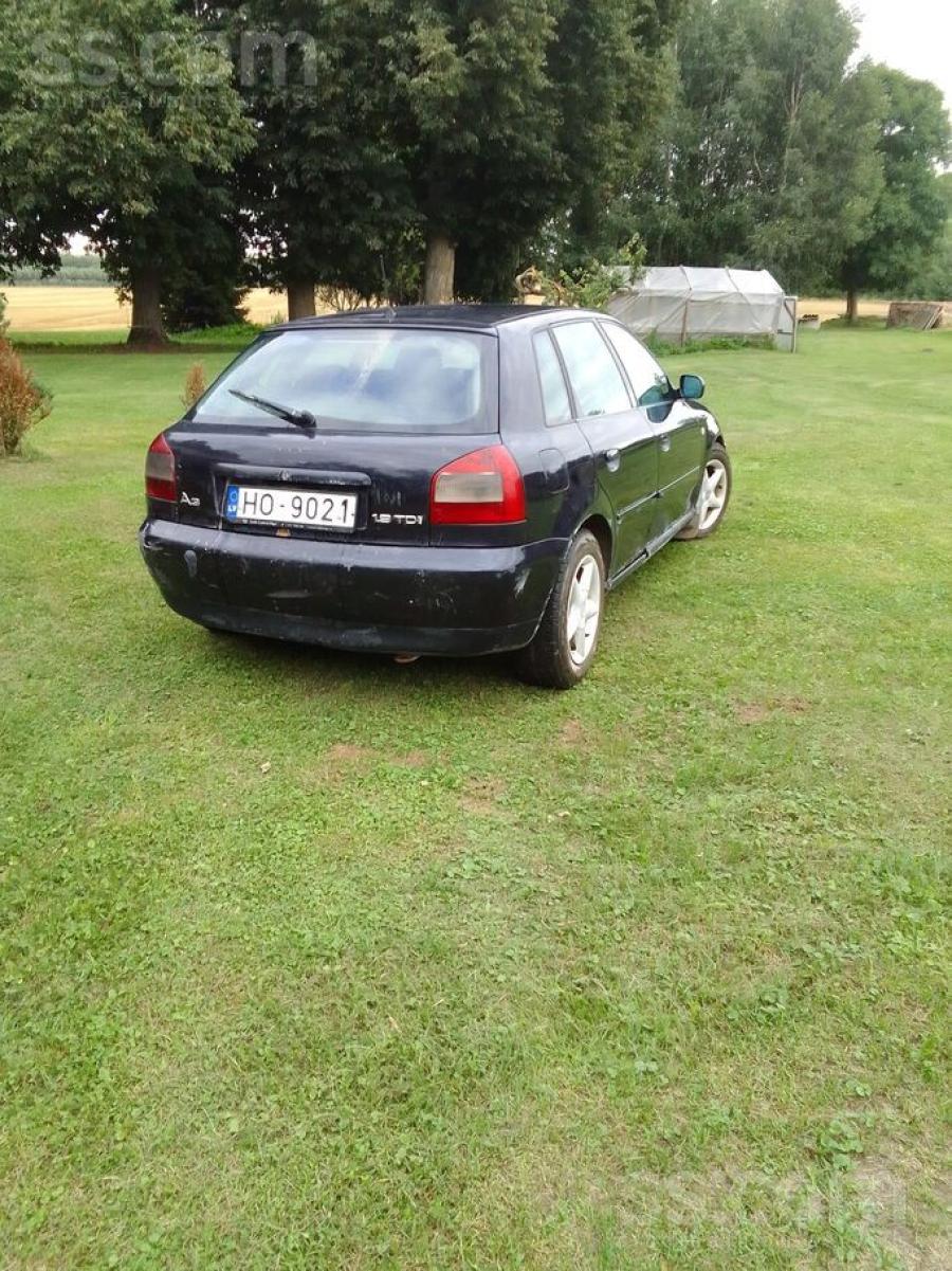 Zils Audi A3 2000 Jelgava, ar dzinēja tilpumu 1.90 L un nobraukumu 0 tūkst. km par 450 €, foto 14 vietnē AUTOMOTO.COM.LV