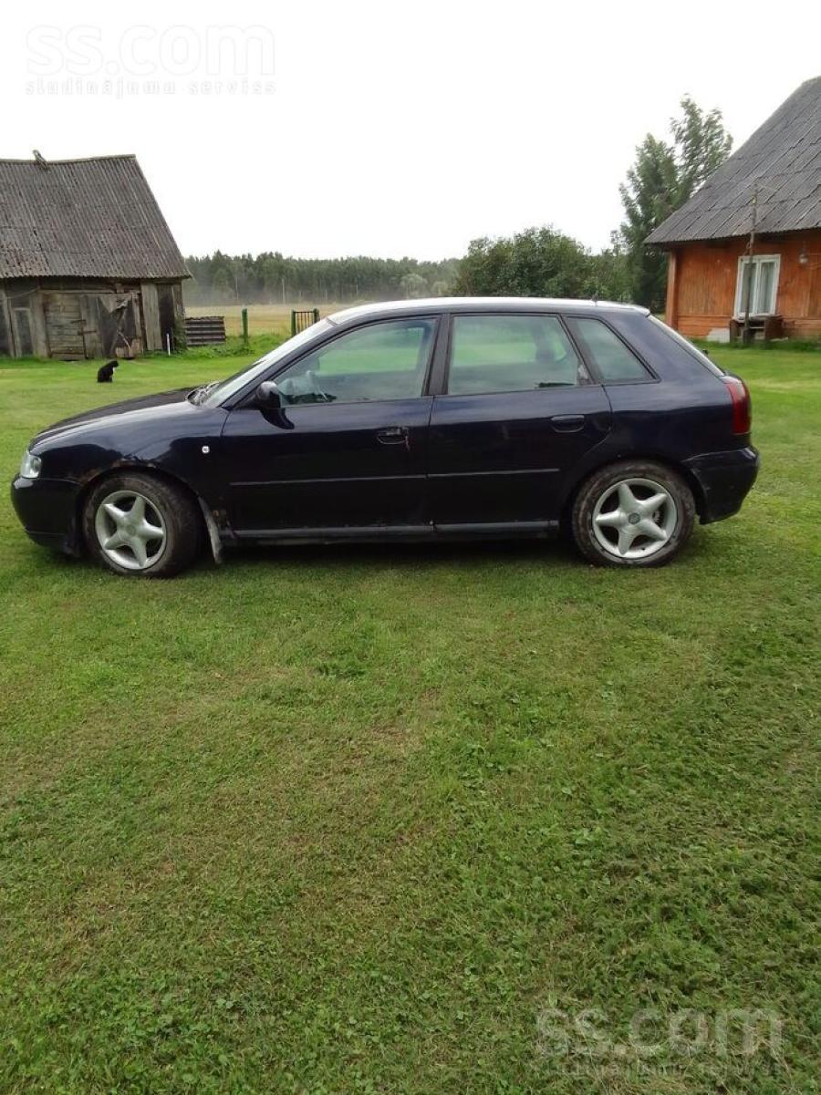 Zils Audi A3 2000 Jelgava, ar dzinēja tilpumu 1.90 L un nobraukumu 0 tūkst. km par 450 €, foto 17 vietnē AUTOMOTO.COM.LV