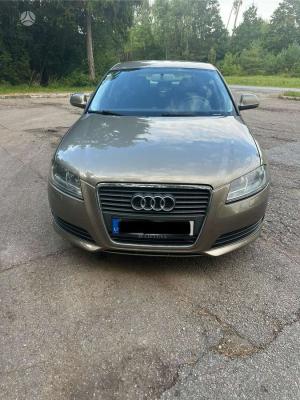 Brūns Audi A3 2008 Šauļi, ar dzinēja tilpumu 1.39 L un nobraukumu 289 tūkst. km par 3650 €, foto 9 vietnē AUTOMOTO.COM.LV