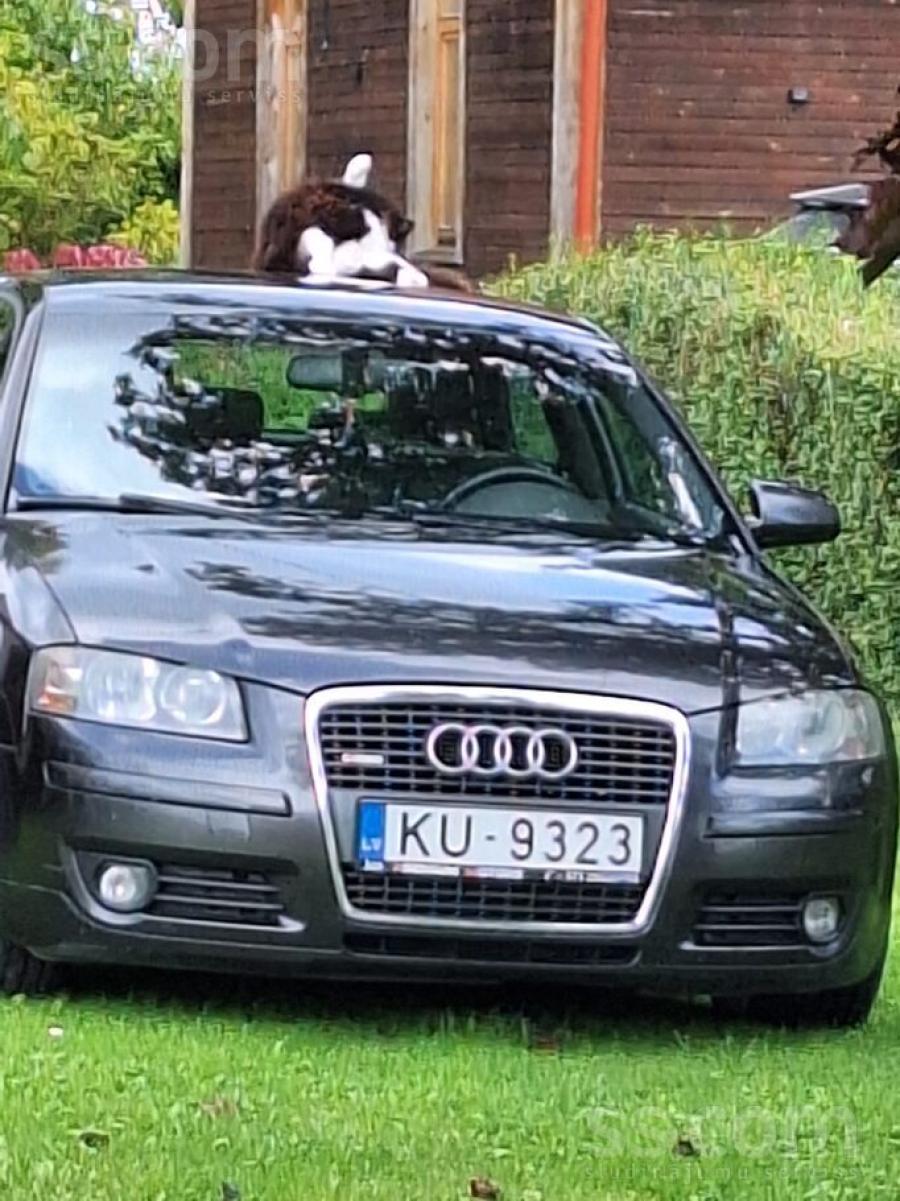 Brūns Audi A3 2008 Valmiera, ar dzinēja tilpumu 2.00 L un nobraukumu 388 tūkst. km par 2100 €, foto 5 vietnē AUTOMOTO.COM.LV