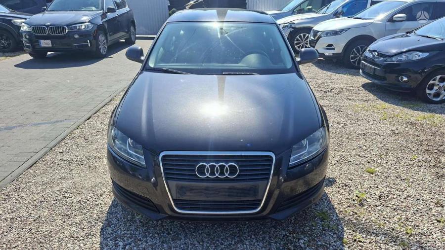 Brūns Audi A3 2010 Kauņa, ar dzinēja tilpumu 1.90 L un nobraukumu 225 tūkst. km par 4650 €, foto 5 vietnē AUTOMOTO.COM.LV