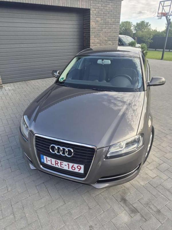 Brown Audi A3 2011 in Palanga, with an engine capacity of 1.60 L and mileage of 250 thousand km for 4900 €, photo 3 on AUTOMOTO.COM.LV