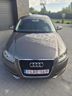 Brown Audi A3 2011 in Palanga, with an engine capacity of 1.60 L and mileage of 250 thousand km for 4900 €, photo 6 on AUTOMOTO.COM.LV