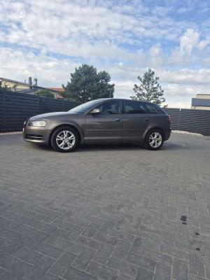 Brown Audi A3 2011 in Palanga, with an engine capacity of 1.60 L and mileage of 250 thousand km for 4900 €, photo 14 on AUTOMOTO.COM.LV