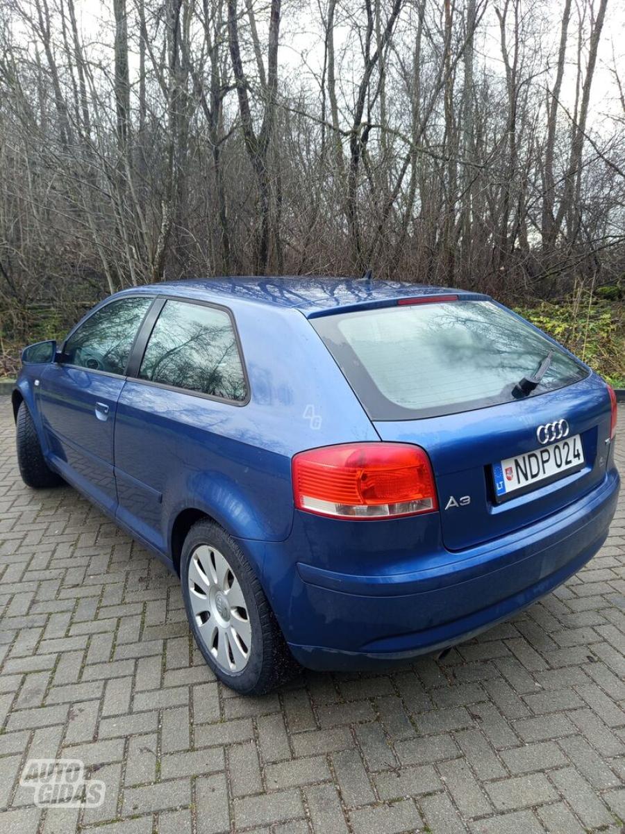 Audi A3 2006 in Vilnius, with an engine capacity of 1.60 L and mileage of 224 thousand km for 2200 €, photo 4 on AUTOMOTO.COM.LV