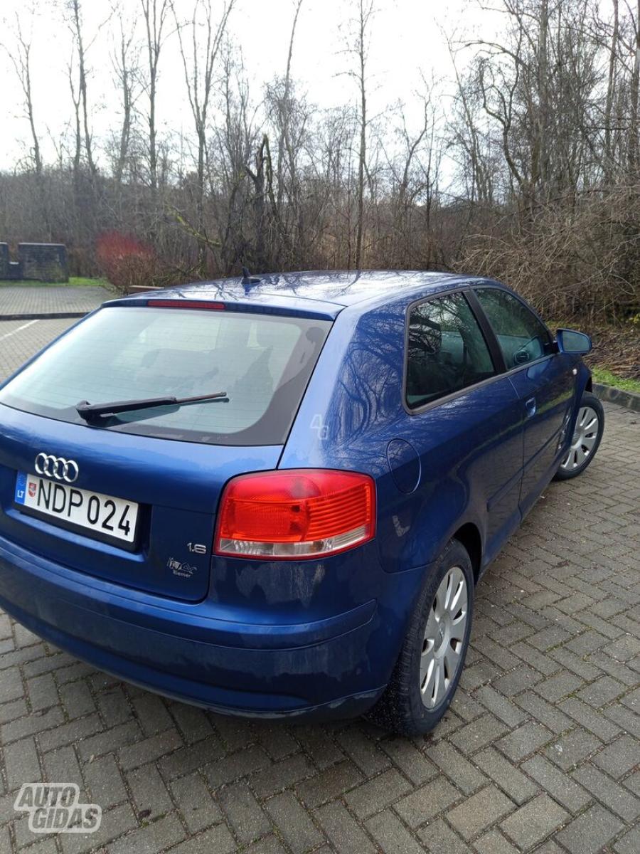 Audi A3 2006 in Vilnius, with an engine capacity of 1.60 L and mileage of 224 thousand km for 2200 €, photo 5 on AUTOMOTO.COM.LV