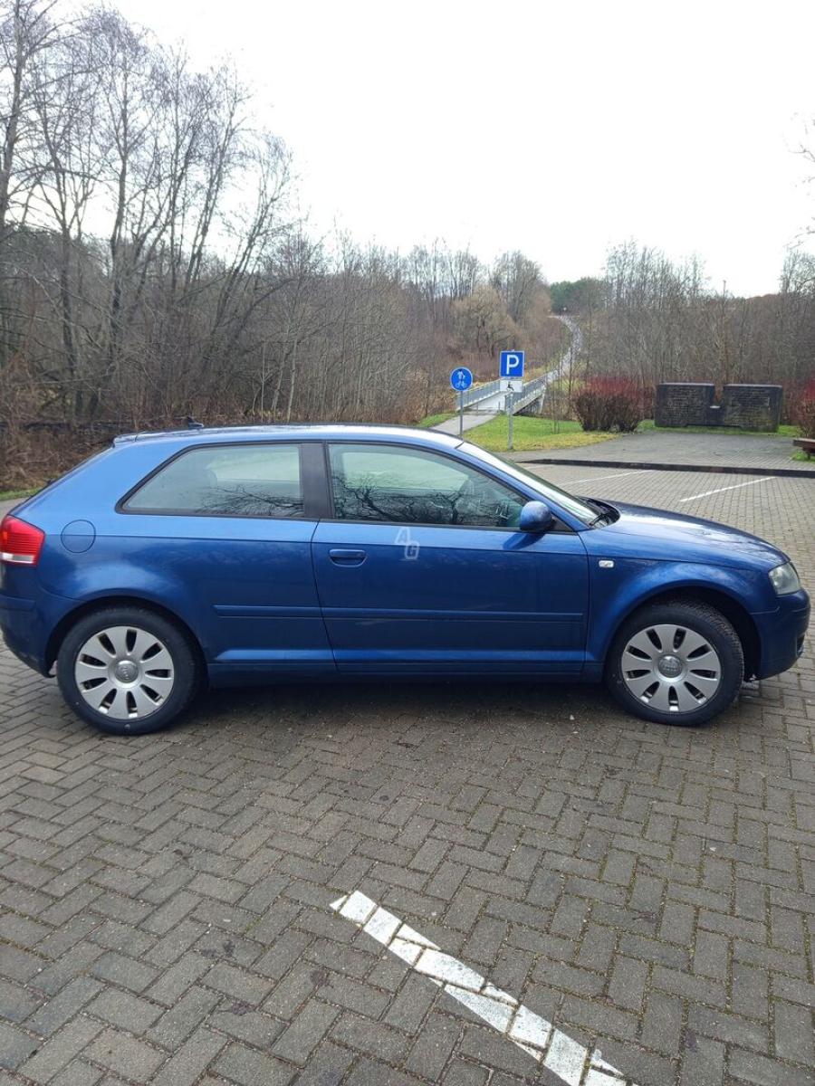 Audi A3 2006 in Vilnius, with an engine capacity of 1.60 L and mileage of 224 thousand km for 2200 €, photo 6 on AUTOMOTO.COM.LV