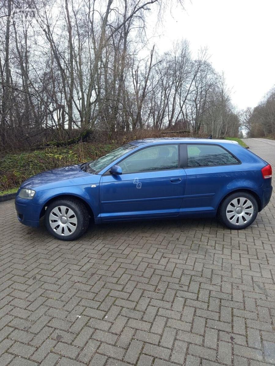 Audi A3 2006 in Vilnius, with an engine capacity of 1.60 L and mileage of 224 thousand km for 2200 €, photo 7 on AUTOMOTO.COM.LV