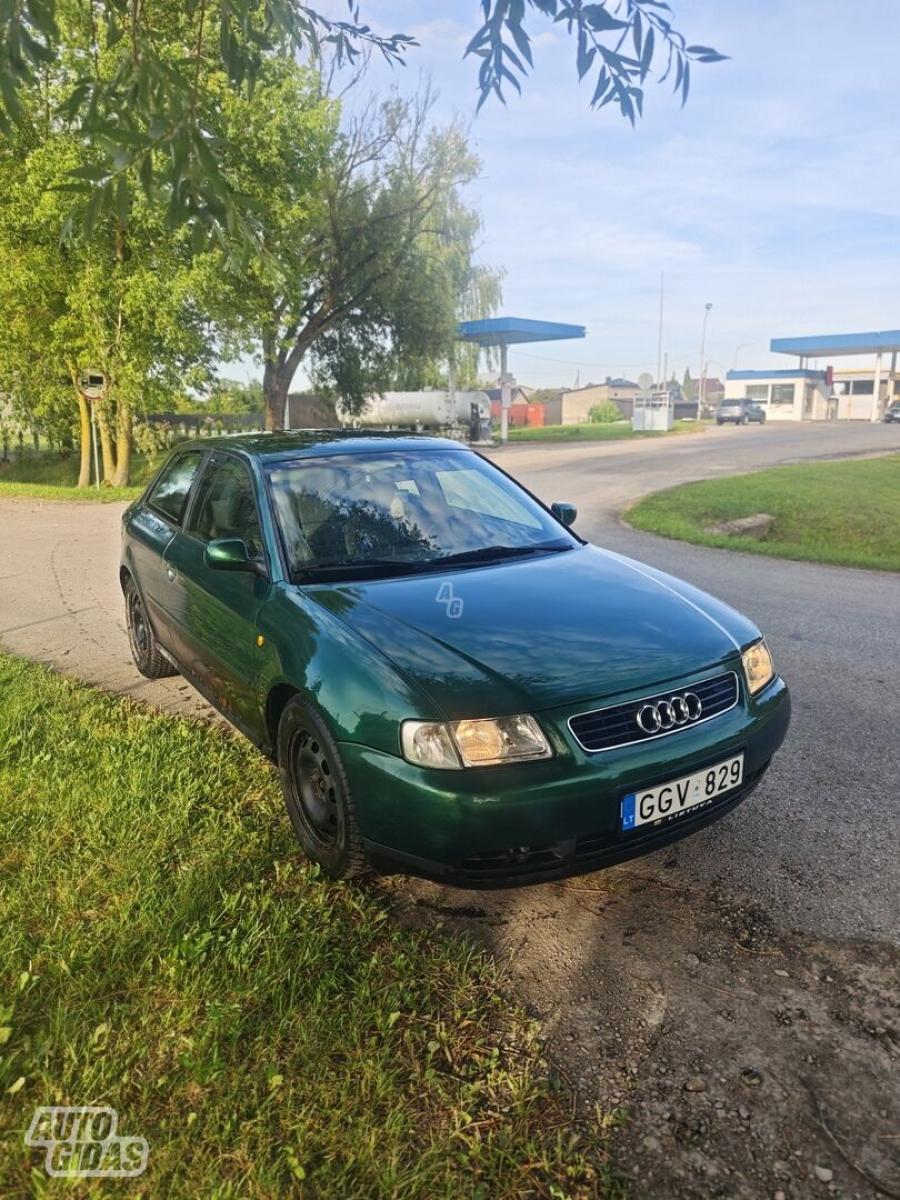 Green Audi A3 1998 in Utena, with an engine capacity of 1.80 L and mileage of 300 thousand km for 700 €, photo 3 on AUTOMOTO.COM.LV