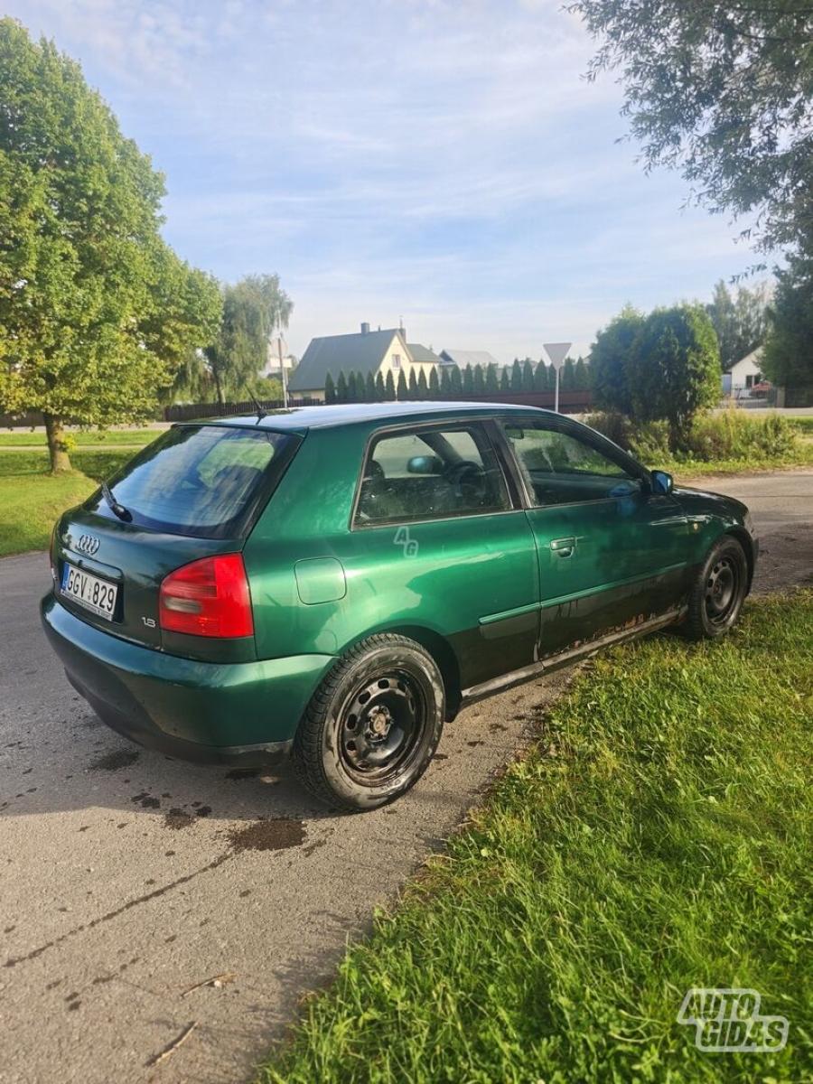 Green Audi A3 1998 in Utena, with an engine capacity of 1.80 L and mileage of 300 thousand km for 700 €, photo 4 on AUTOMOTO.COM.LV